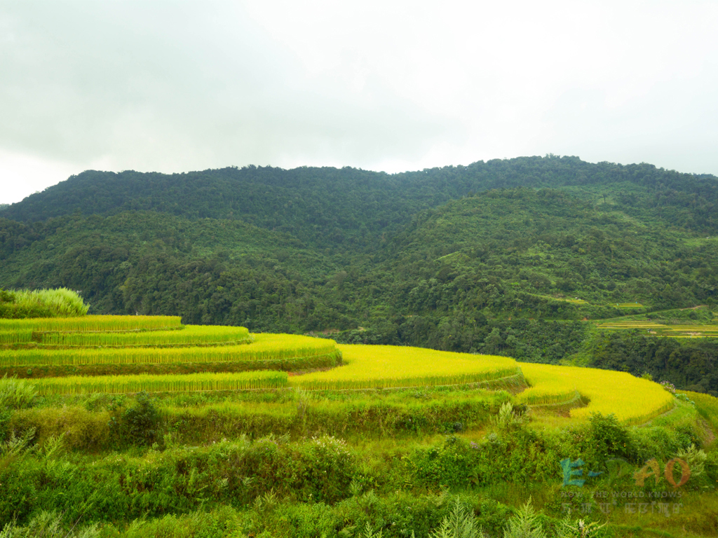 Manipur Landscape Wallpaper by Deepak Oinam 2016 Part 4