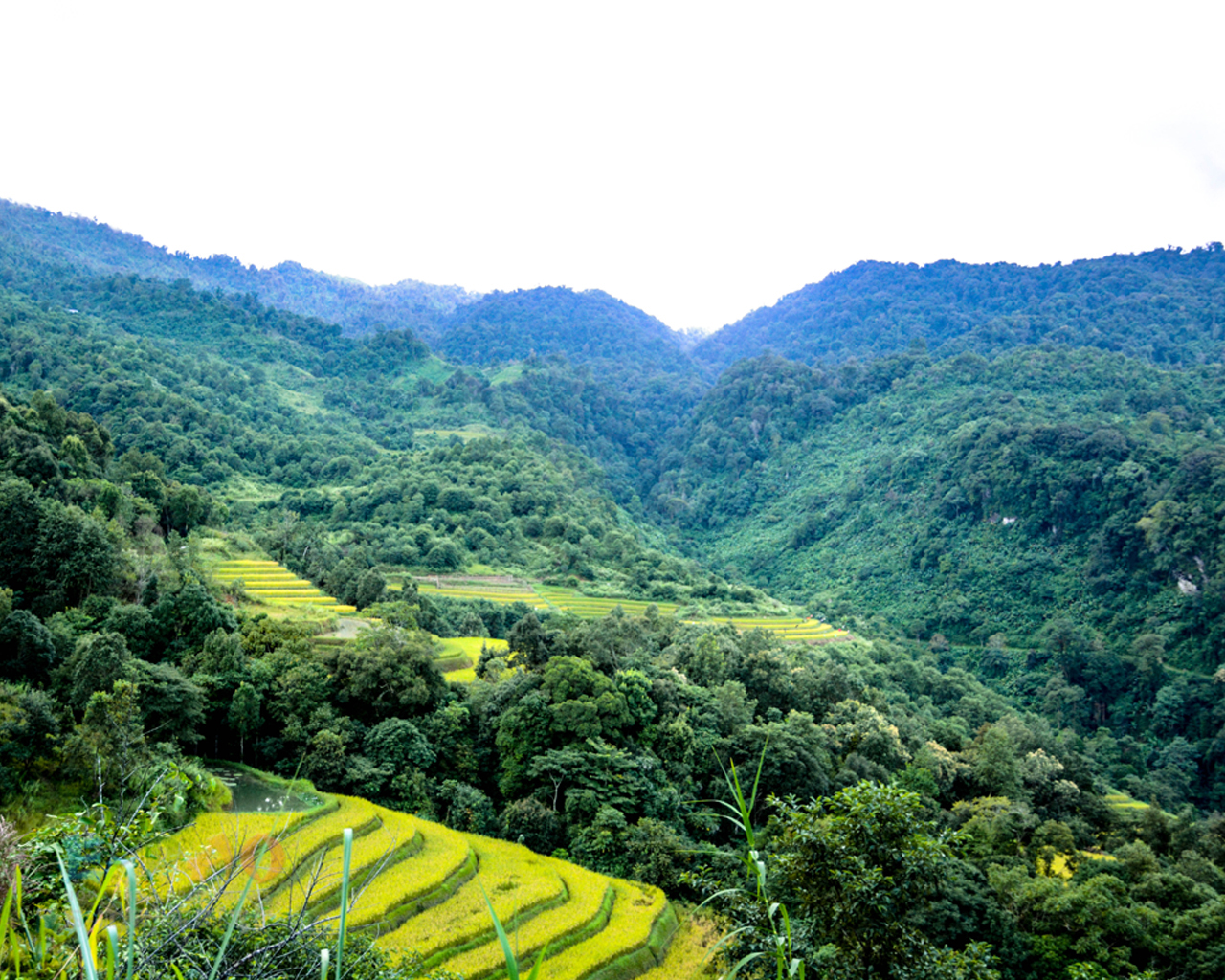 Manipur Landscape Wallpaper by Deepak Oinam 2016 Part 3