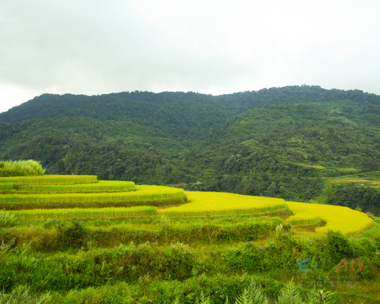 Manipur Landscape Wallpaper by Deepak Oinam 2016 Part 4