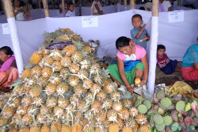 5th Pineapple Fair and Youth Festival 2012 20120612