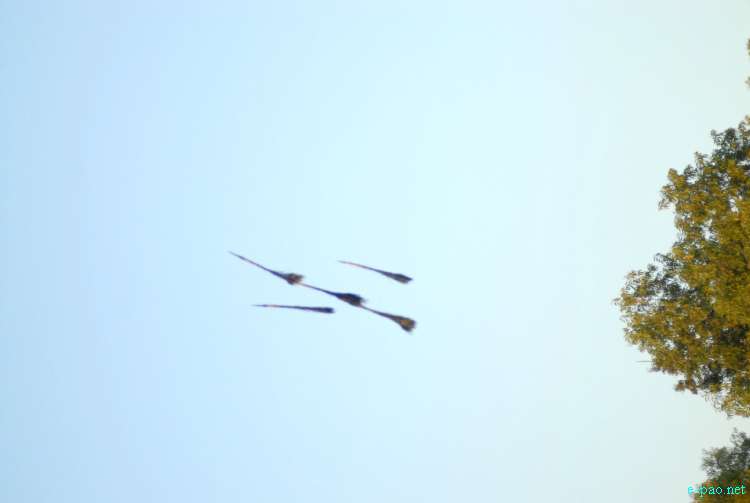 Arambai - deadly poisoned lethal flying weapon :: November 2011 ...