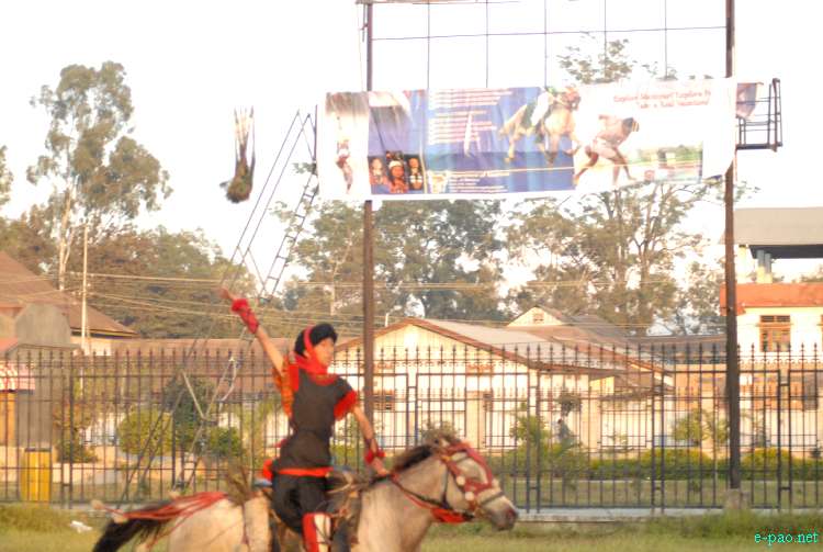 Arambai - deadly poisoned lethal flying weapon :: November 2011 ...